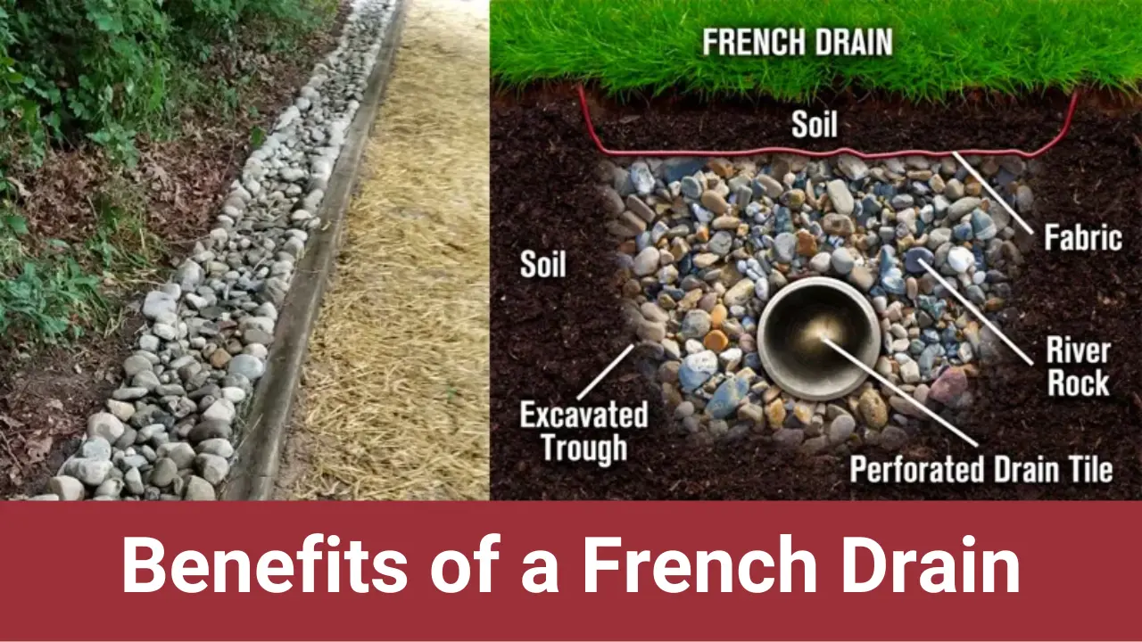 What Is French Drain & How Does It Work? - Alamo Landscaping